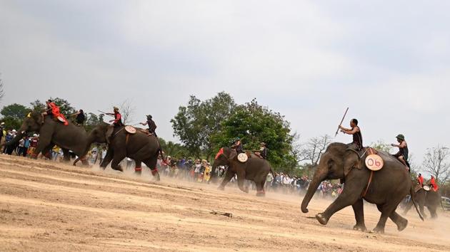 Photos: Vietnam’s elephant race draws cheers and critics | Hindustan Times