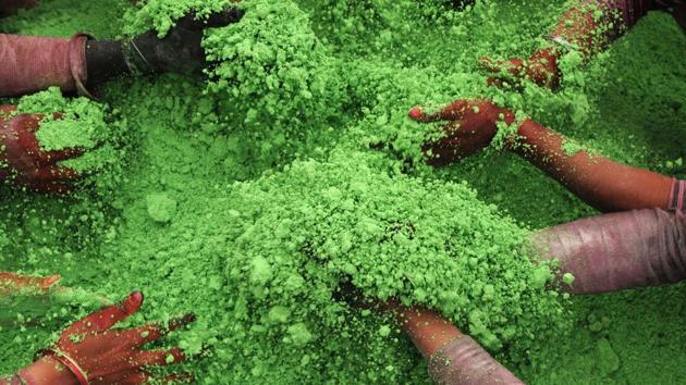 Photos: Making gulal, the colours of celebration in Gurugram ...