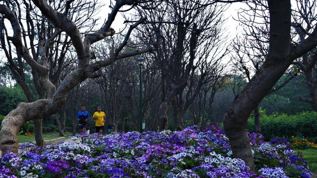 PHOTOS: A sprinkling of Spring in Delhi | Hindustan Times