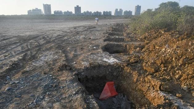 Work begins on mangrove wall in Mumbai | Mumbai news