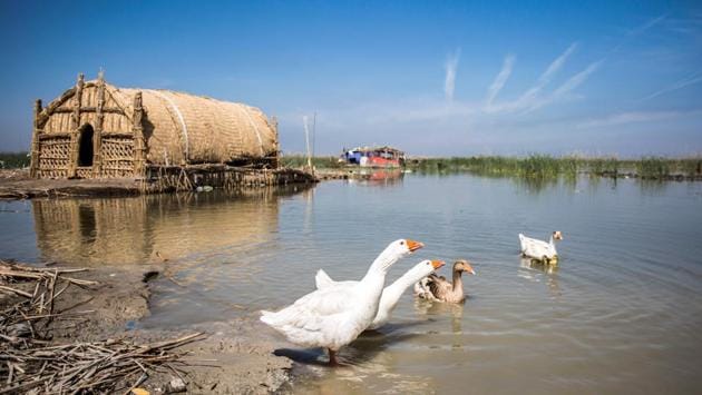 Photos: Iraq turns to ecotourism to save marshes between Euprates and ...
