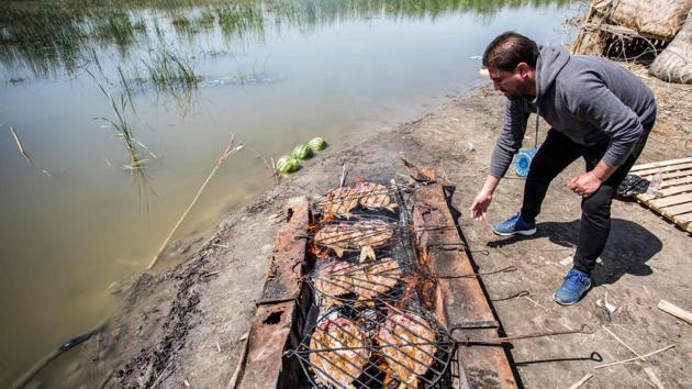 Photos: Iraq turns to ecotourism to save marshes between Euprates and ...