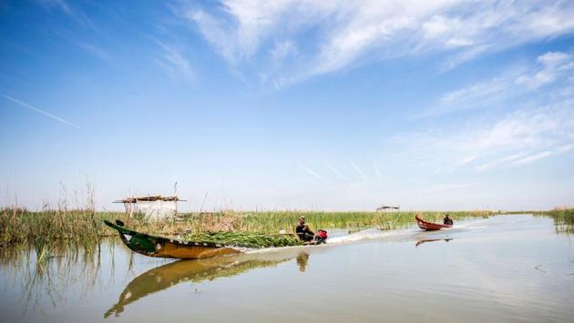 Photos: Iraq turns to ecotourism to save marshes between Euprates and ...
