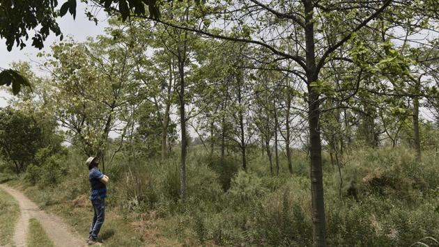 Photos: Delhi remembers an island of animals and plants on World ...