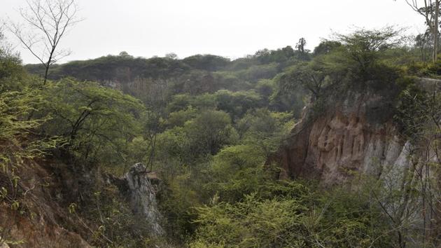 Photos: Delhi remembers an island of animals and plants on World ...