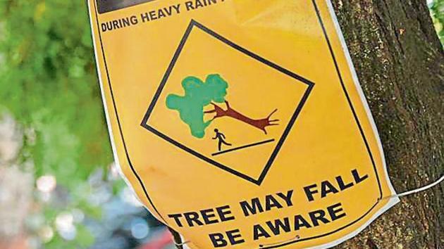 Stop merciless hacking of trees, complain residents of Dadar | Mumbai news