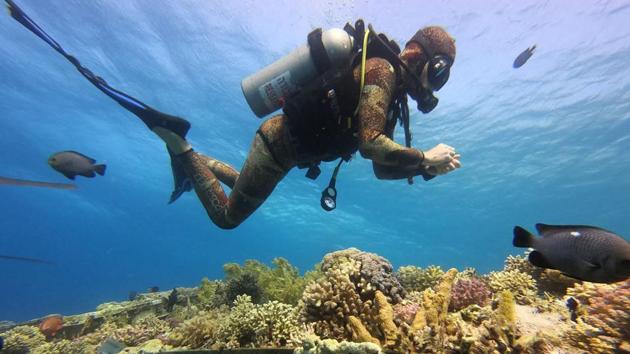 Photos: Israeli coral rescue plan aiming to preserve marine ecosystem ...