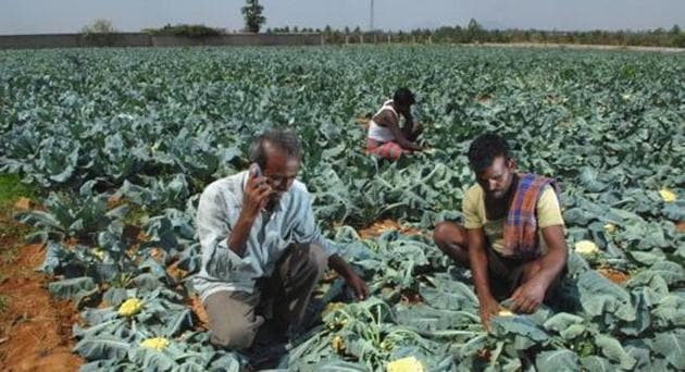 Sikkim’s much-hyped organic farming mission faces uncertainty, new CM ...