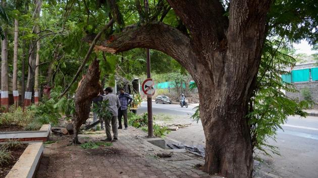 Pune’s civic body faces flak for tree branch falling accident claiming ...