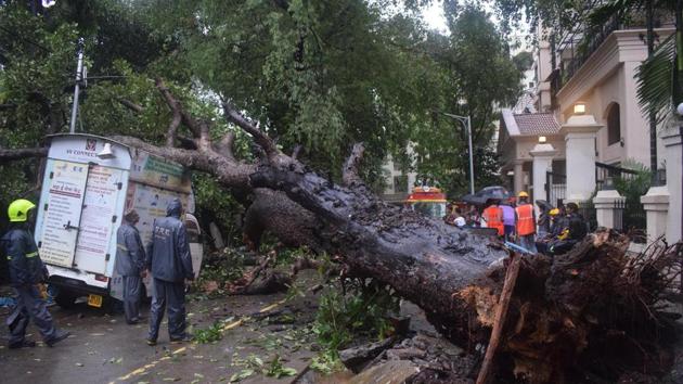 Huge tree falls on parked vehicles; wall collapses on 3 houses in Thane ...