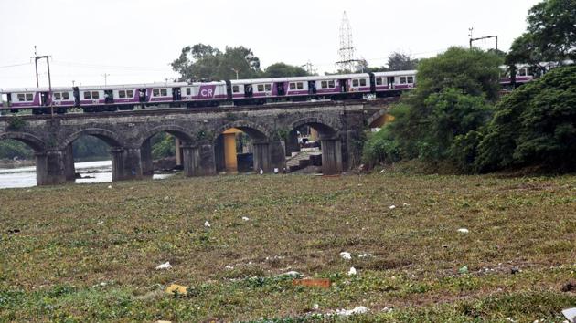 284 mosquito breeding spots indentified during survey in Pimpri ...