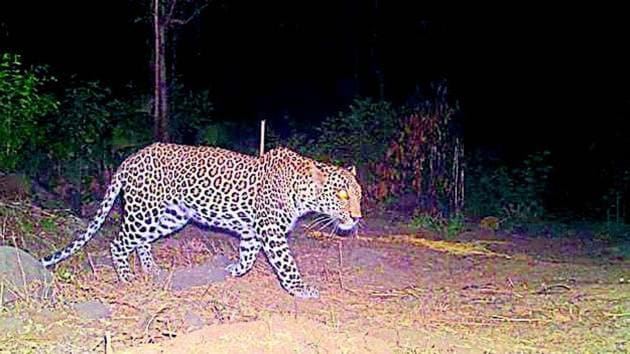Tungareshwar and Tansa wildlife sanctuaries to get safety zones ...