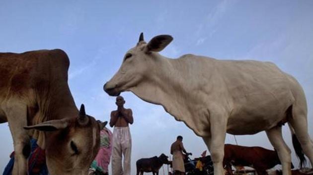 How beef ban in Karnataka will cripple Goa’s meat supply | Latest News ...