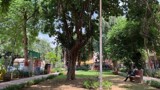 Gurugramwale: A solitary, ancient banyan tree | Hindustan Times