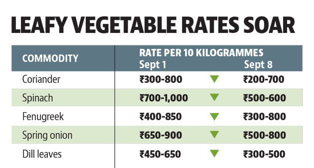 Market watch: Veggie prices stabilise in Pune after reduced demand ...