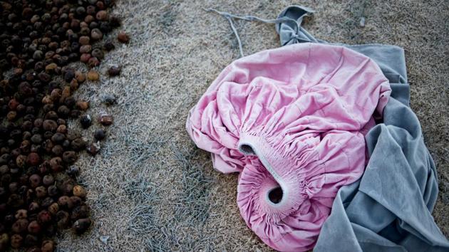 Photos: Lake Titicaca, once an Andean deity, faces pollution threat ...