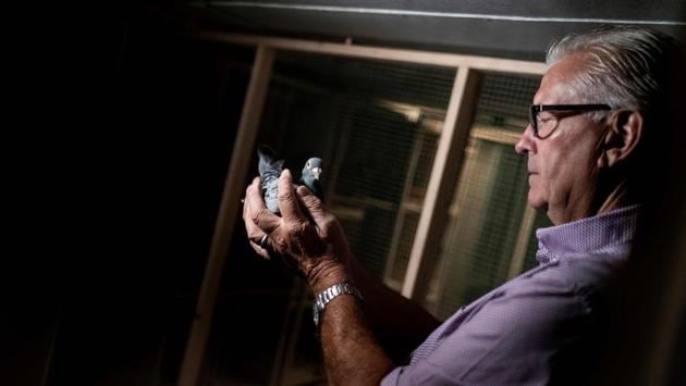 Photos: The Belgian breeder with the million-euro pigeon | Hindustan Times