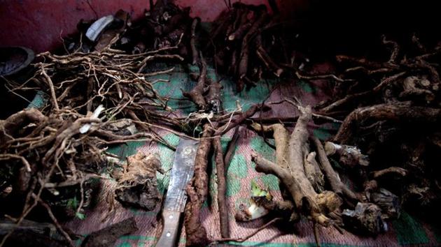 Photos: Tanzania’s Zanzibar brings traditional healers into legal fold ...