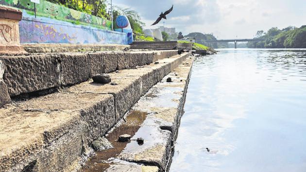 Fight to keep Pune’s post-monsoon spring season alive and flowing ...