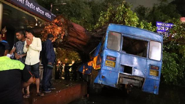 Pune’s civic body has not appointed authorised contractors to cut trees, allege activist ...