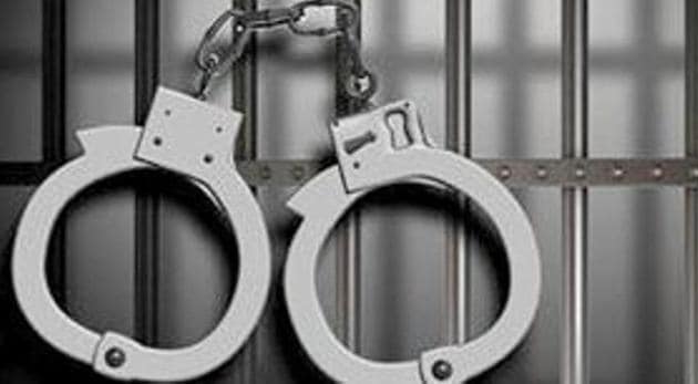 Ludhiana woman arrested for hiring hitman to murder her husband ...
