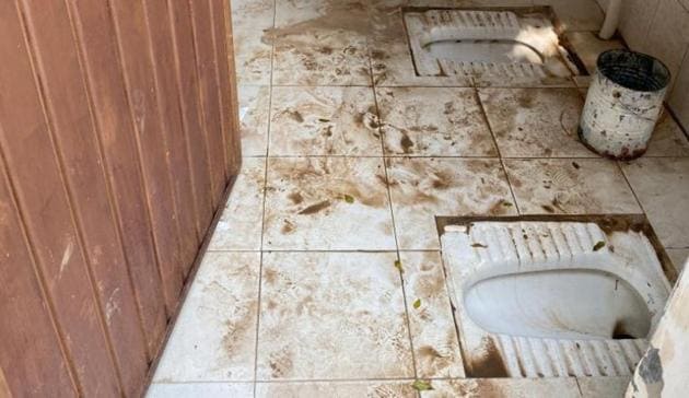 Inspection at Mohali govt school reveals weevil-infested wheat, rice ...