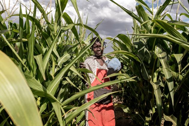 Photos: Namibia vows to change ‘status-quo’ of white-farm ownership ...