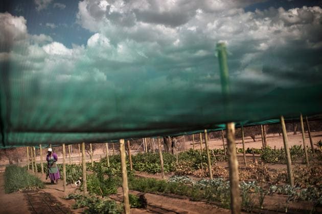 Photos: Namibia vows to change ‘status-quo’ of white-farm ownership ...