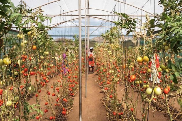 Photos: Namibia vows to change ‘status-quo’ of white-farm ownership ...