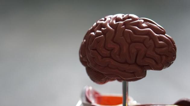 Here’s how brain balances pleasure and pain | Lifestyle News