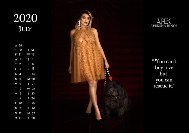 PHOTOS: All Paws for a Cause in Style 2020 calendar | Hindustan Times