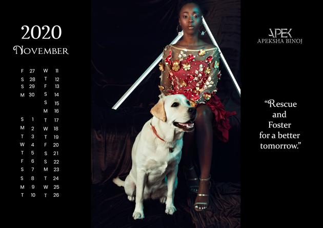 PHOTOS: All Paws for a Cause in Style 2020 calendar | Hindustan Times