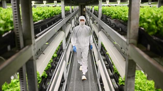 Photos: Ageing Japan resorts to vertical farming to increase ...