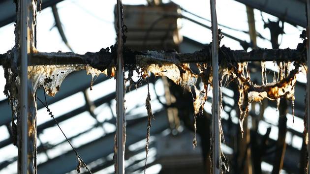 Dozens of monkeys die in German zoo fire by New Year’s Eve lanterns ...