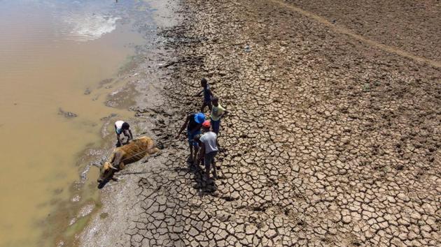 Photos: Zimbabwe set for another dismal year of drought, says UN ...