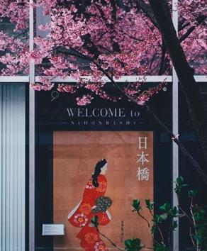 PHOTOS: Discovering the pink petal land of Japan | Hindustan Times