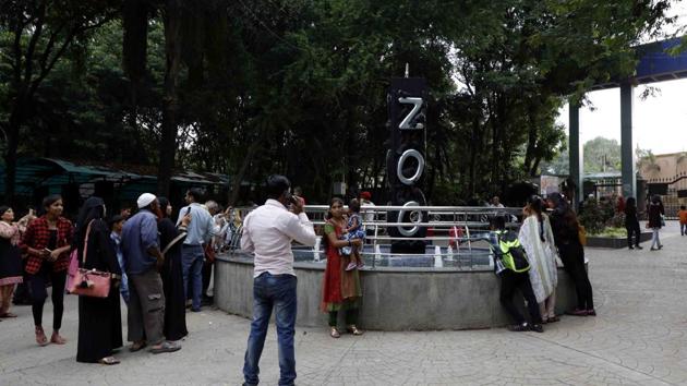 Pune’s Rajiv Gandhi Zoological Park welcomes lion from Indore ...