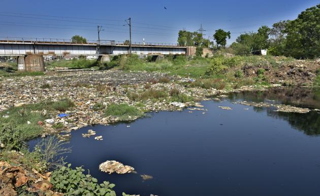 Ludhiana: 14 samples taken from areas close to Buddha Nullah fail ...
