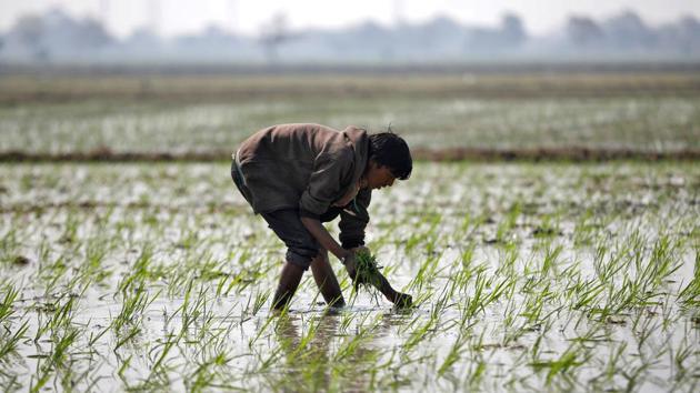 Covid-19: Govt updates online farm trading platform for easier harvest ...