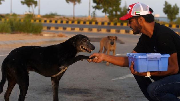Photos: Lockdown underway, animals left to die in Pakistan’s pet ...