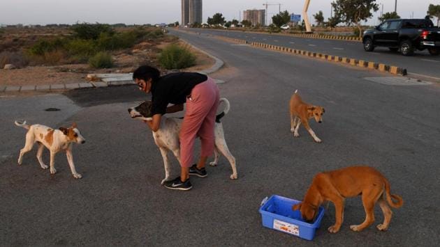 Photos: Lockdown underway, animals left to die in Pakistan’s pet ...