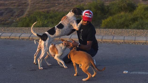 Photos: Lockdown underway, animals left to die in Pakistan’s pet ...