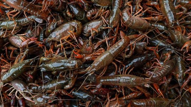 Photos: Wuhan’s wet markets open amid criticism, low footfalls ...