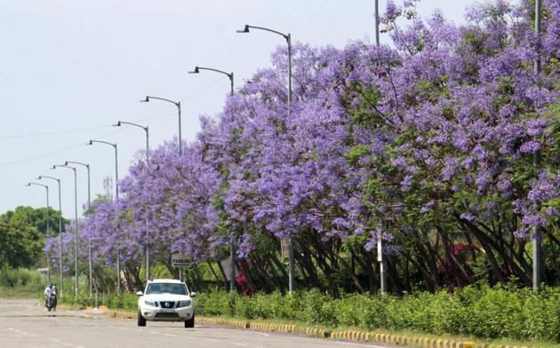 Rainy weekend on the cards in Punjab, Haryana - Hindustan Times