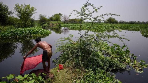 Photos: Sequestered on a tiny Yamuna island during lockdown in Delhi ...