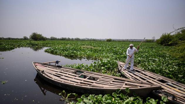 Photos: Sequestered on a tiny Yamuna island during lockdown in Delhi ...