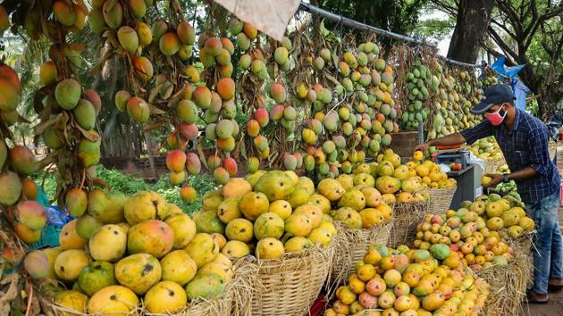 Konkan farmers use direct sale to ensure mango supply is sweet during ...
