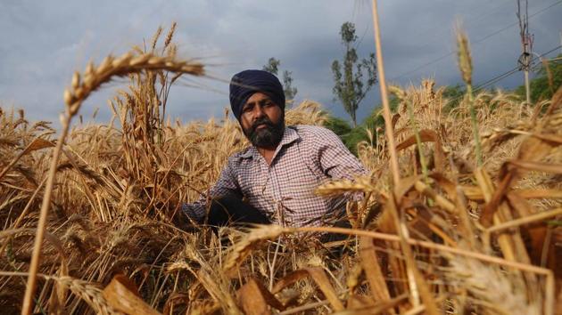 Focus on farm reforms, India crosses China’s case count: Covid-19 news ...