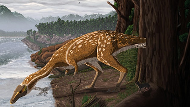 110 mn-year-old rare, toothless dinosaur elaphrosaur identified ...