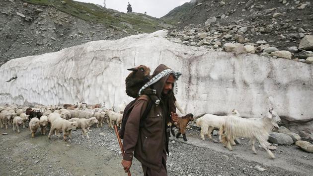 Photos: On the road with Kashmir’s Bakarwal nomads | Hindustan Times